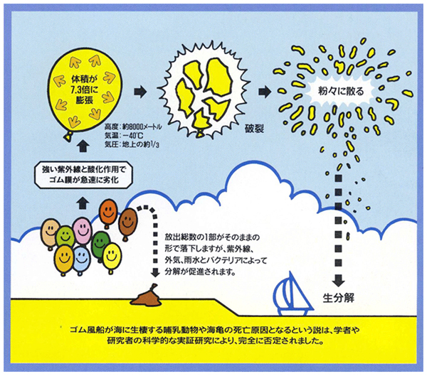 阿蘇クリスマスバルーンフェスティバル2010